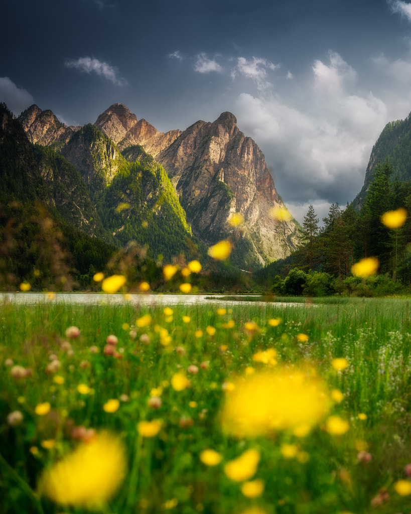 Summer in Dolomites by Jakub Perlikowski / 500px
