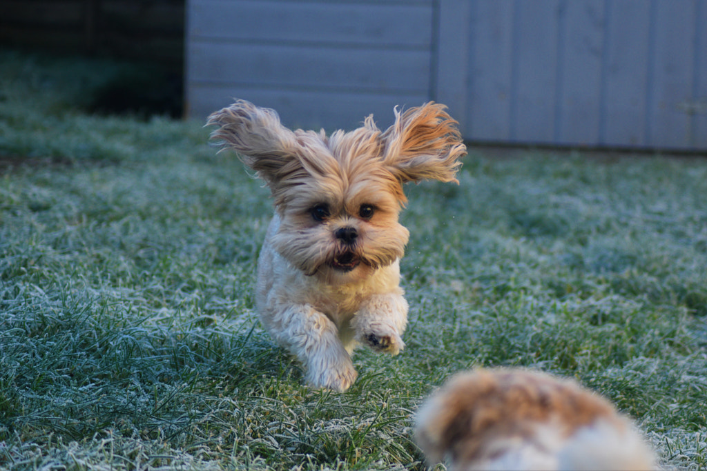 Zak Attack by Christopher Hegarty / 500px