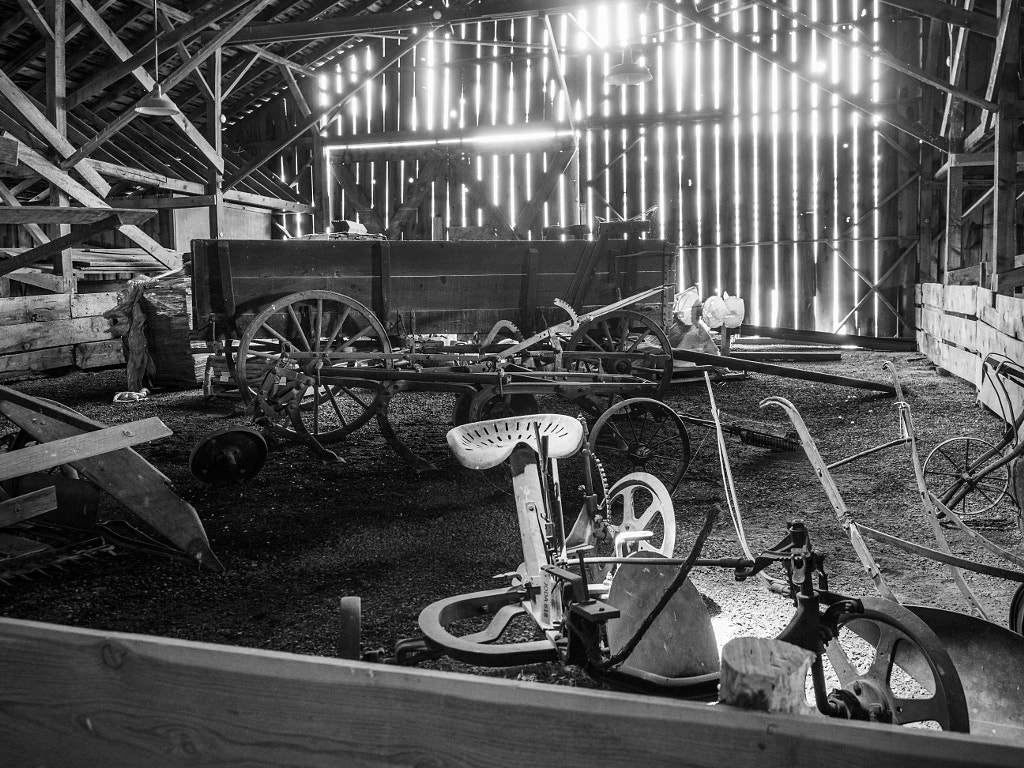 Mid-day Light by Steve R / 500px