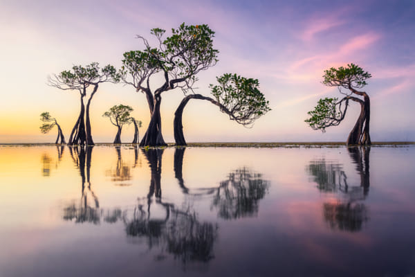 Beautiful Setting by Long Bach Nguyen | 500px