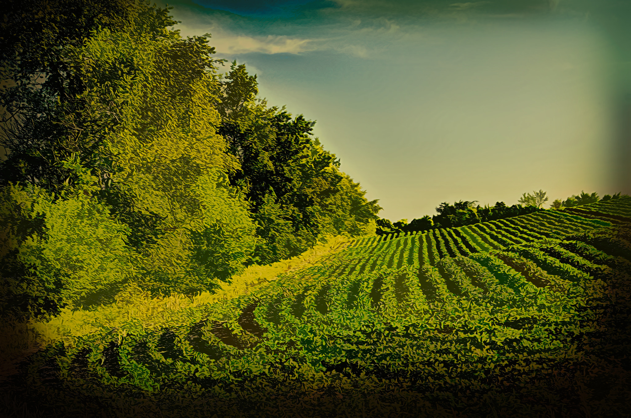 Midwest Farm Scene-Abstract by Ronald Gale Johnson | 500px
