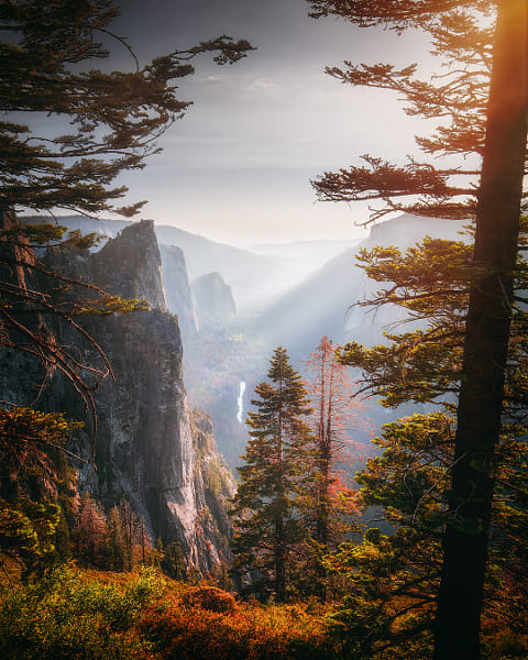Rising by rasica / 500px