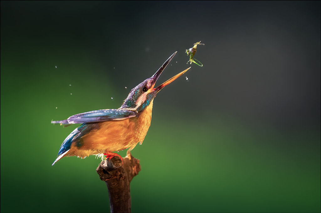 extra by nicole boxberger | 500px