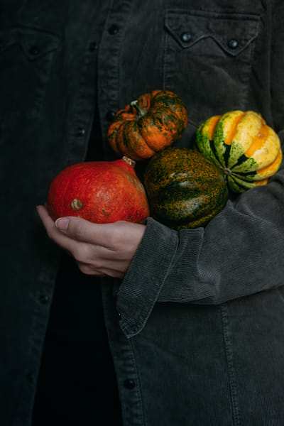 Pumpkin season by Lina Angelova | 500px