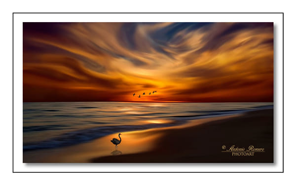 Connect by khoi tran | 500px