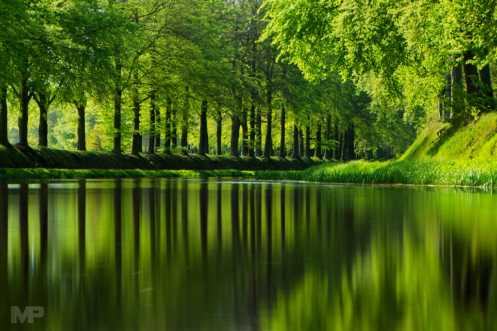 Fresh Green by Martin Podt / 500px