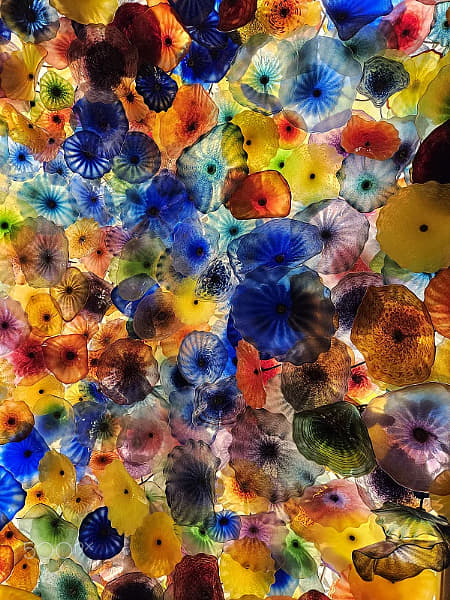 Bloom of Light by gT Comer | 500px