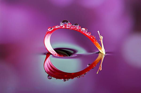 aefcec by Виктория Александрова / 500px