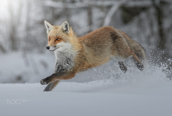 Lava Flow by James Binder / 500px