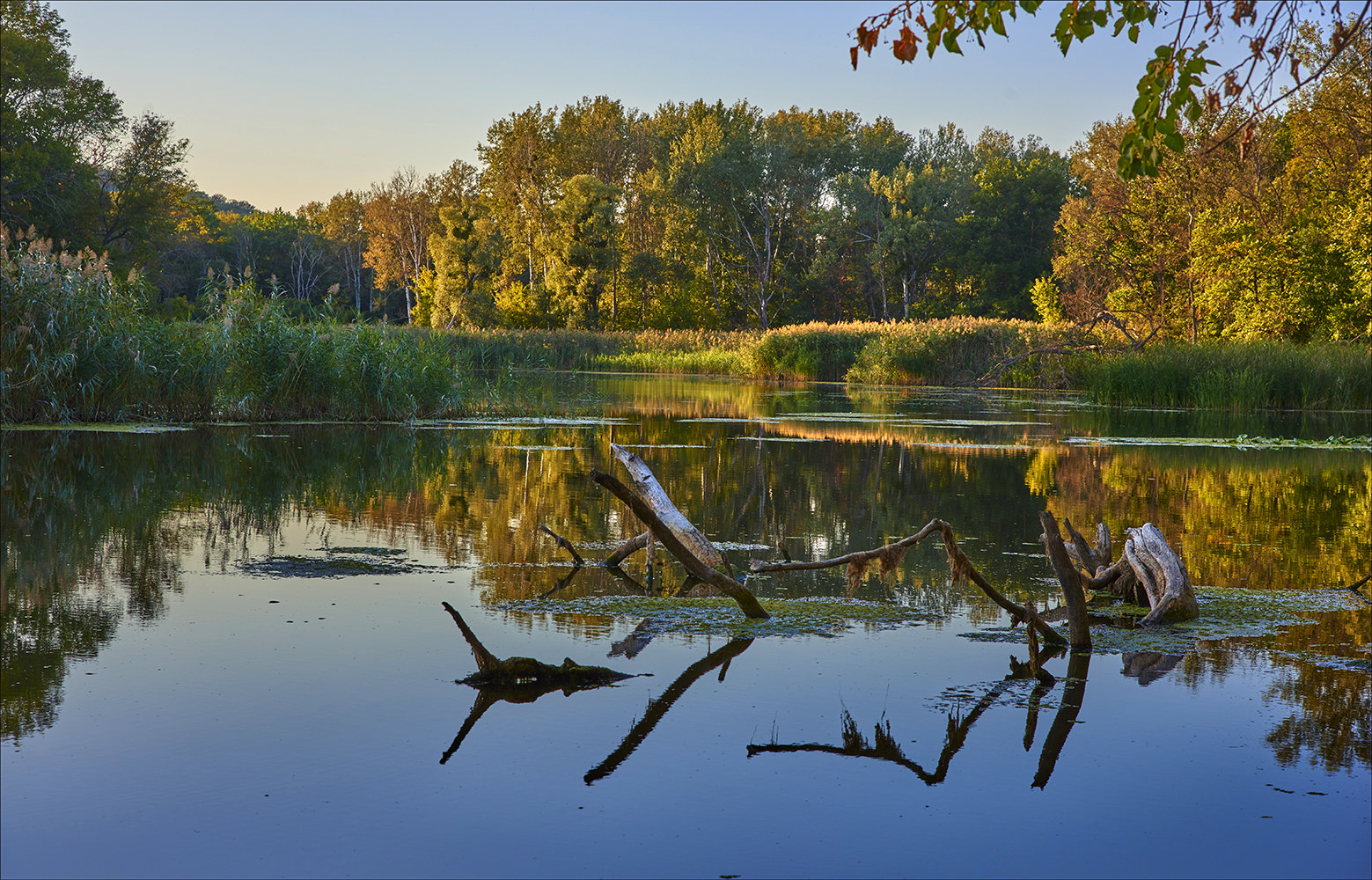 Autumn Lake with Tree Branches and Reflections | landscape photo by ...