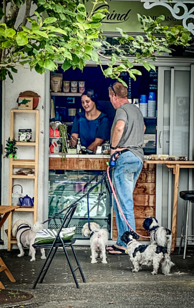 Warkworth Man w 4 dogs-8269 by Lynn Hedges | 500px