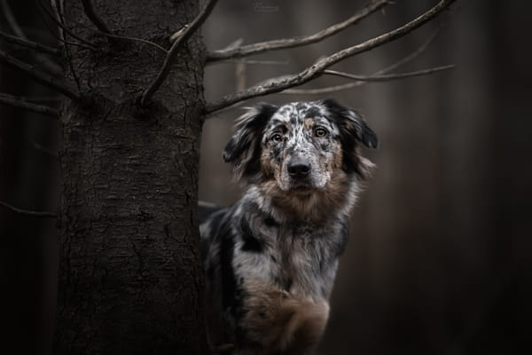 78 by Alicja Zmysłowska | 500px