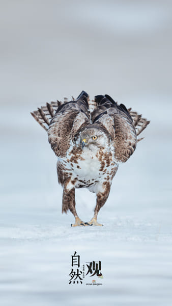 Winters Coming by Rick Dobson | 500px
