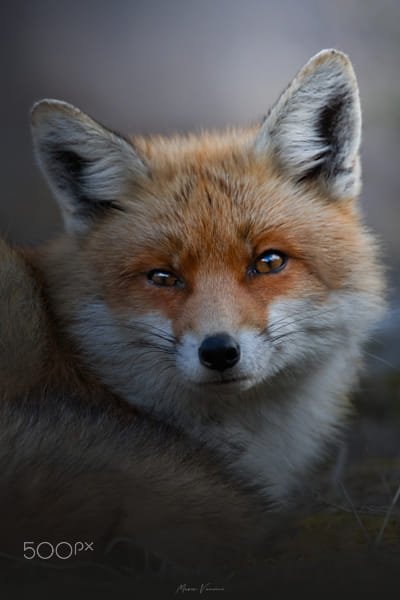 Lava Flow by James Binder / 500px