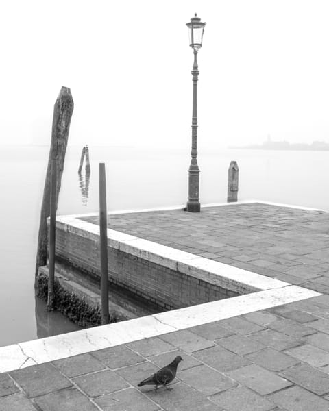 Stephen Stringer CPAGB's Photos & Galleries | 500px