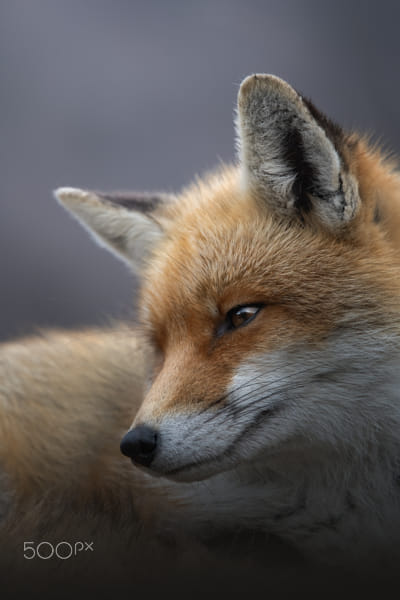 Lava Flow by James Binder / 500px