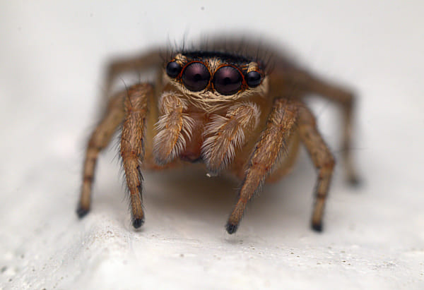 Jumper by Tom Musson | 500px