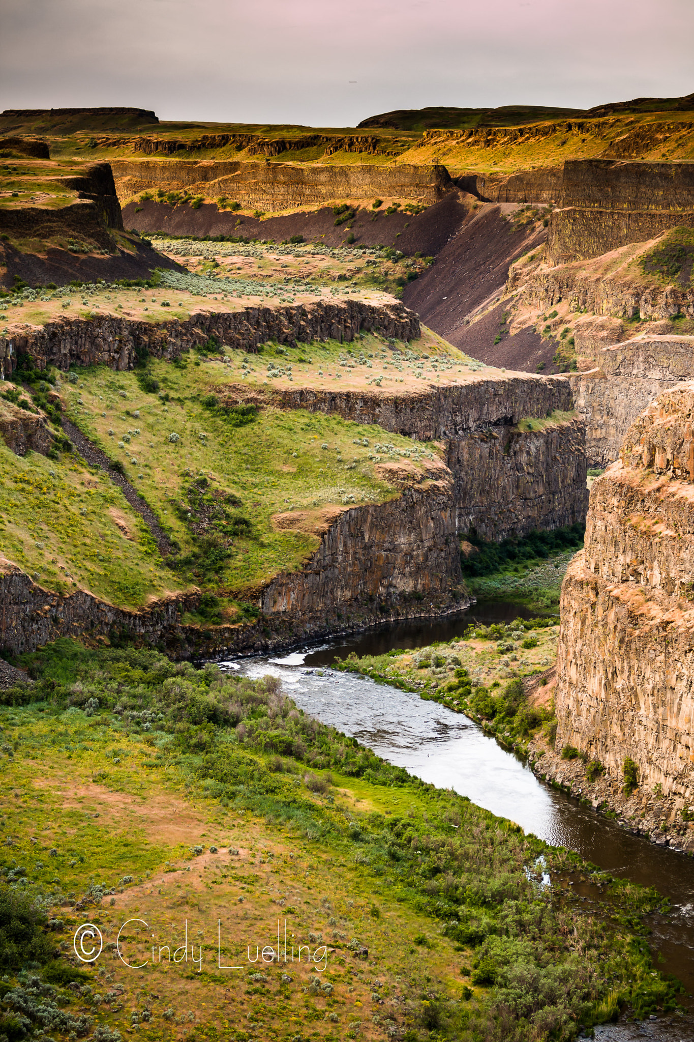Palouse river by Cindy Luelling - Photo 109105363 / 500px