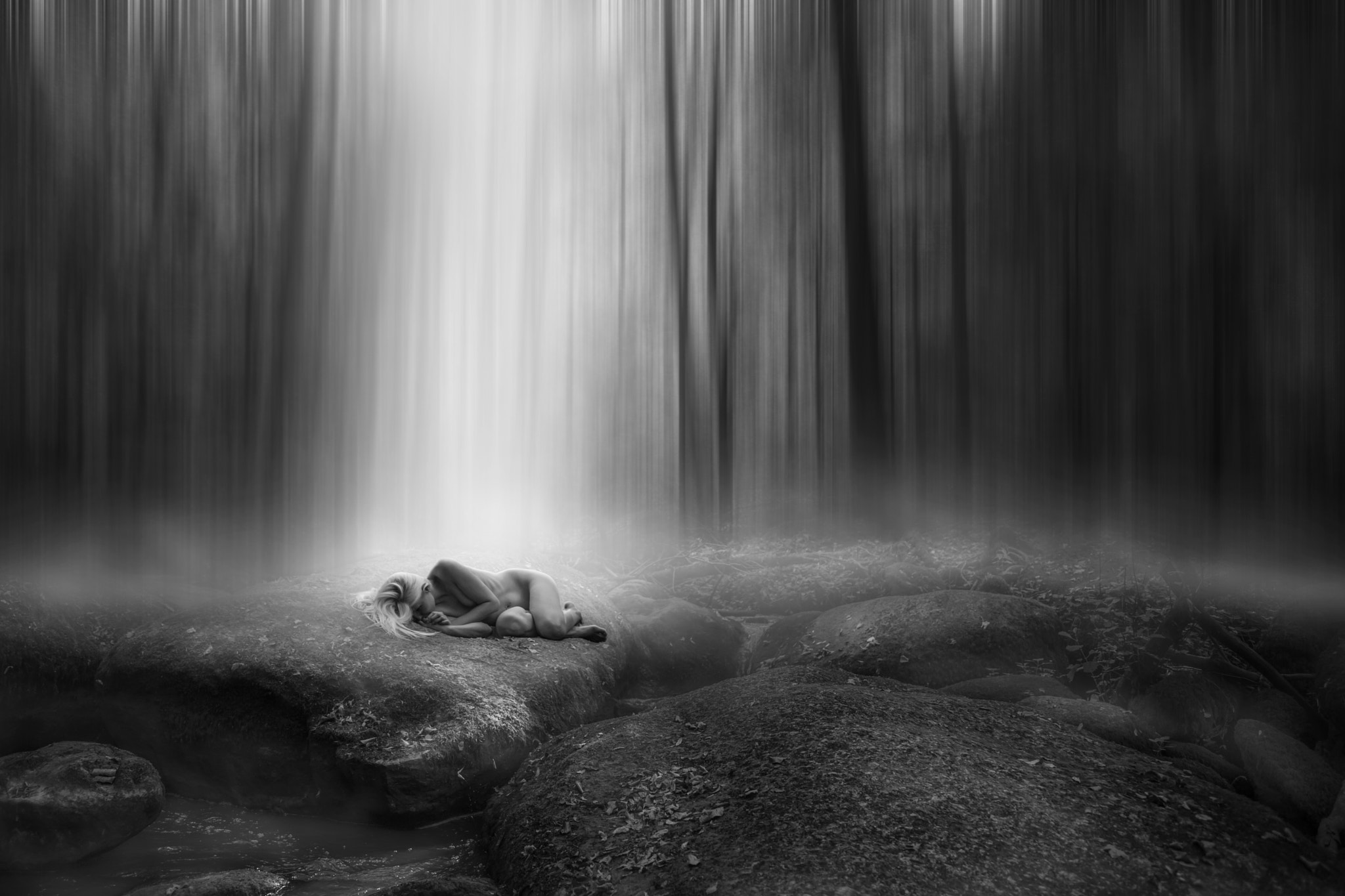 REAL PHOTOGRAPHY: mystic woods by pitsfotos | 500px
