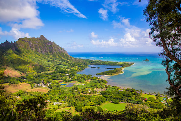 Jurassic Park Viewpoint by Matt Sorenson | 500px