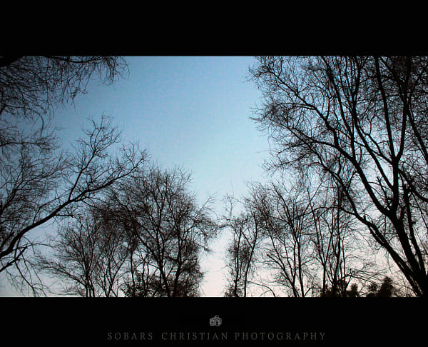 cover by tress by Sobars Christian | 500px