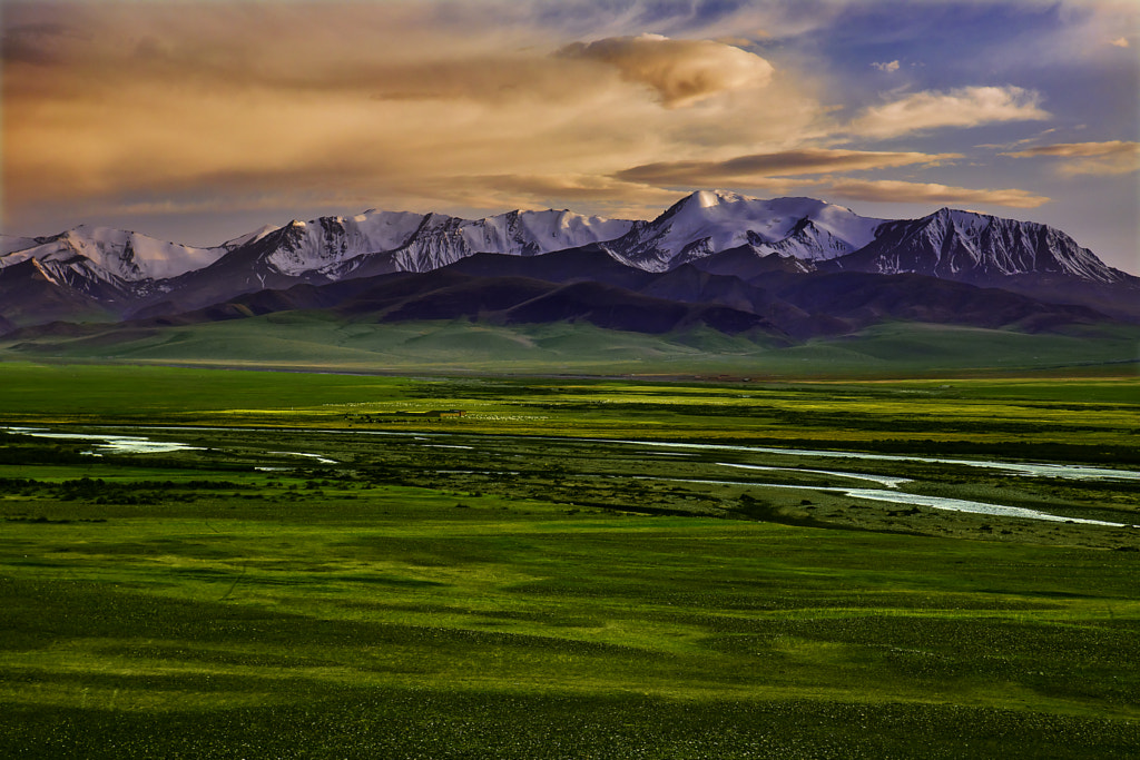Qinghai, China, Qilian Mounts, Grassland, Sunset, 青海, 祁连山, 草原 by ya ...