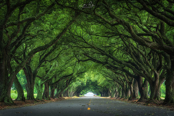A fresh start by Martin Podt / 500px