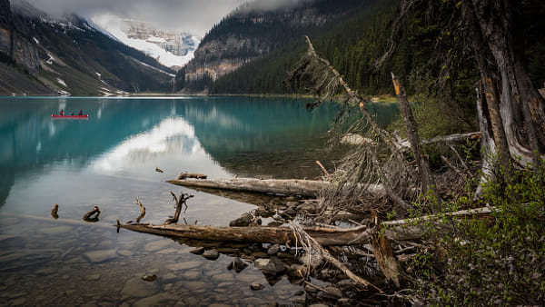 Stephen Stringer CPAGB's Photos & Galleries | 500px