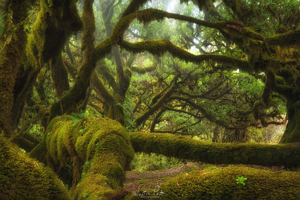 A fresh start by Martin Podt / 500px