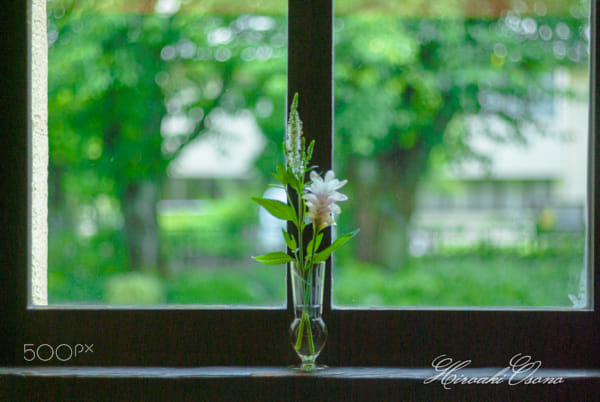 Finding Little Happiness by Hiroaki Osonou | 500px
