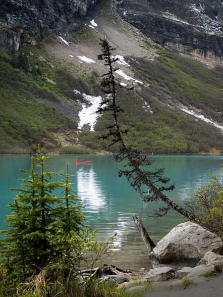 Stephen Stringer CPAGB's Photos & Galleries | 500px