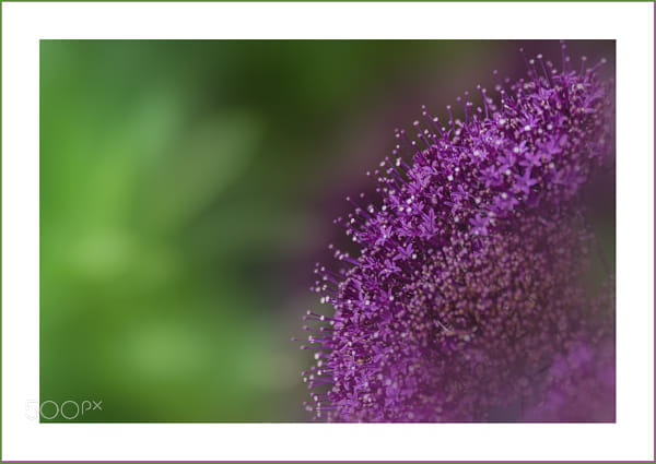 Connect by khoi tran | 500px