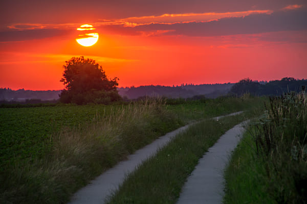 Evening on Terlanerveld by Dan Arler / 500px