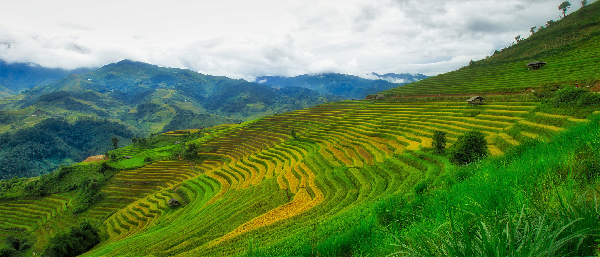 Back to the golden season by Khoi Tran Duc / 500px