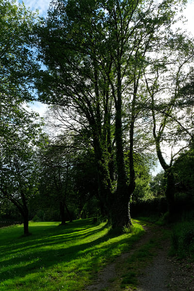 Invitation to Relaxation by Jean-Luc Girard / 500px