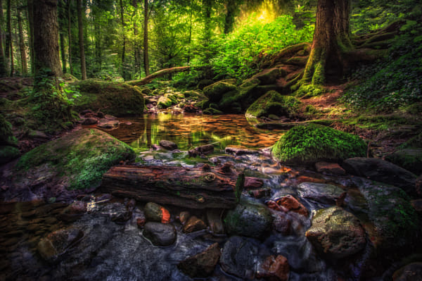 Deep valley by Ralf Thomas / 500px