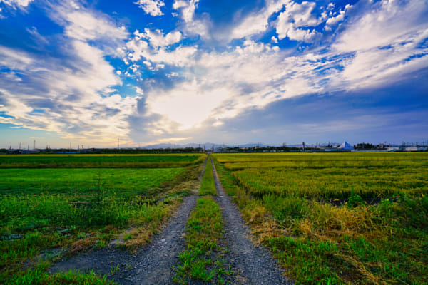 early autumn by shoji uno / 500px