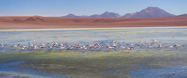 Bolivia through the lens of my camera by Vasile-Simion Sularea / 500px