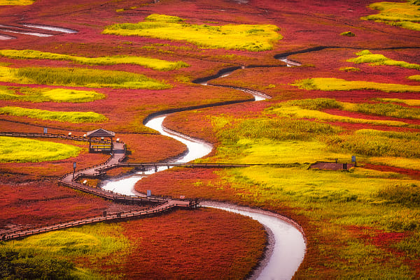 Red field by Tiger Seo / 500px