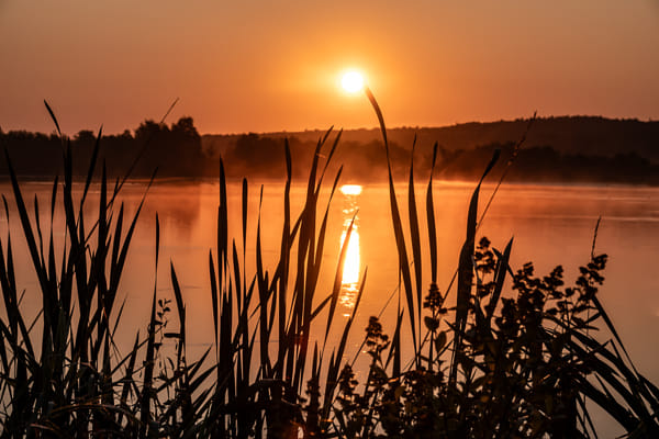 Just Another Morning on the Marsh by Barbara Russell / 500px Just Another Morning on the Marsh by Barbara Russell / 500px