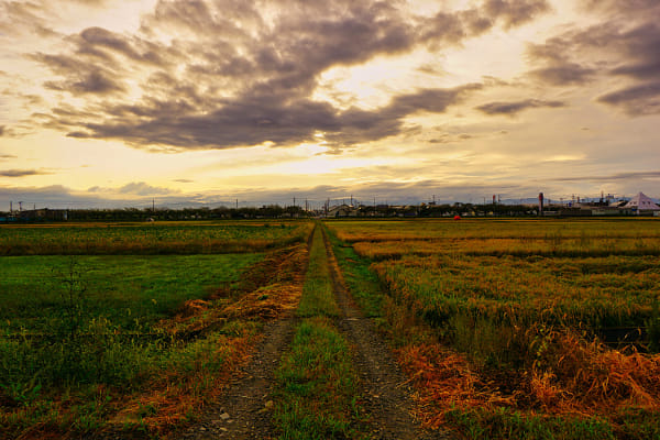 early autumn by shoji uno / 500px