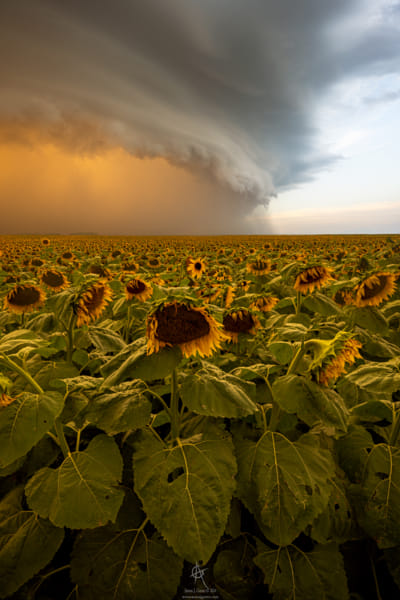 sober by Aaron Groen / 500px