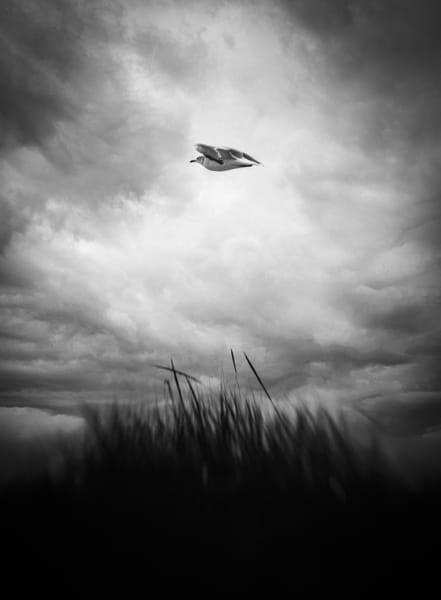 dead serious by JasonM Peterson / 500px