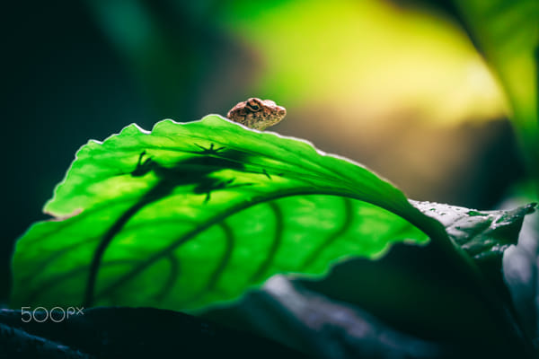 cloud by cocoanext / 500px