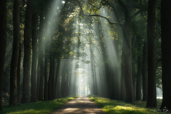Left light by Martin Podt / 500px