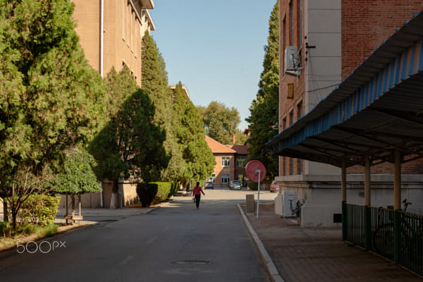 Ordinary day by Stuart Alaska / 500px