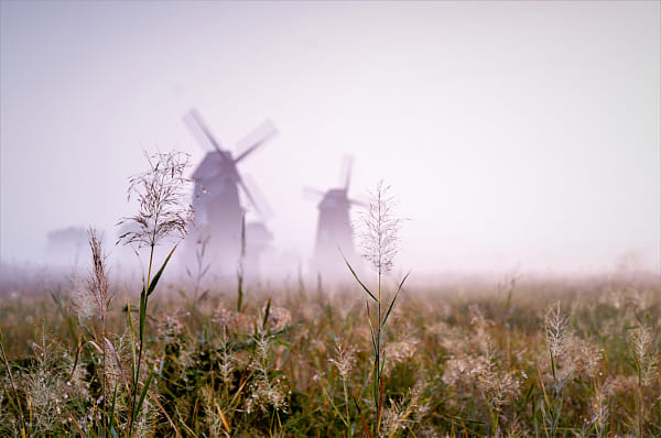 windmill in the fog by future sung / 500px
