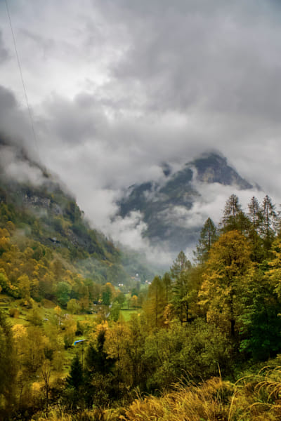 a river runs through it by Viktoria Haack | 500px