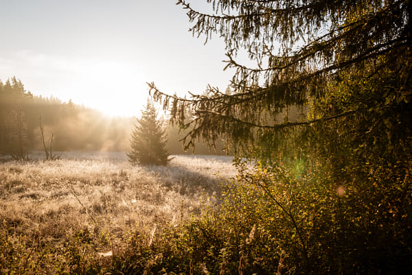 cestou k Plešnému jezeru by Martin Lach / 500px