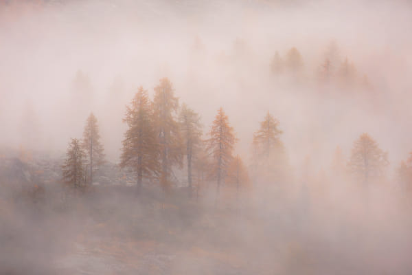 cloud by cocoanext / 500px